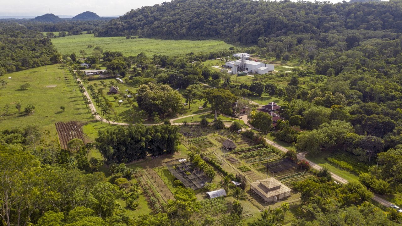 Distributor of Copalli Rum - bbb drinks